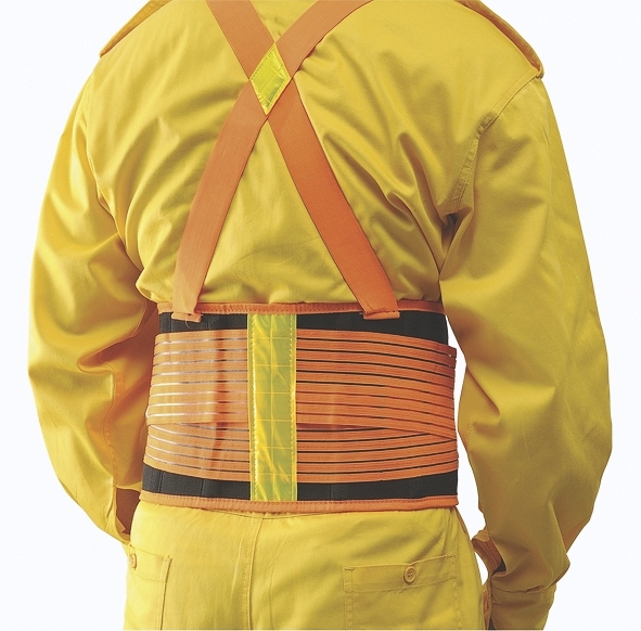 Proguard Back Support Belt Malaysia - TheWwarehouse